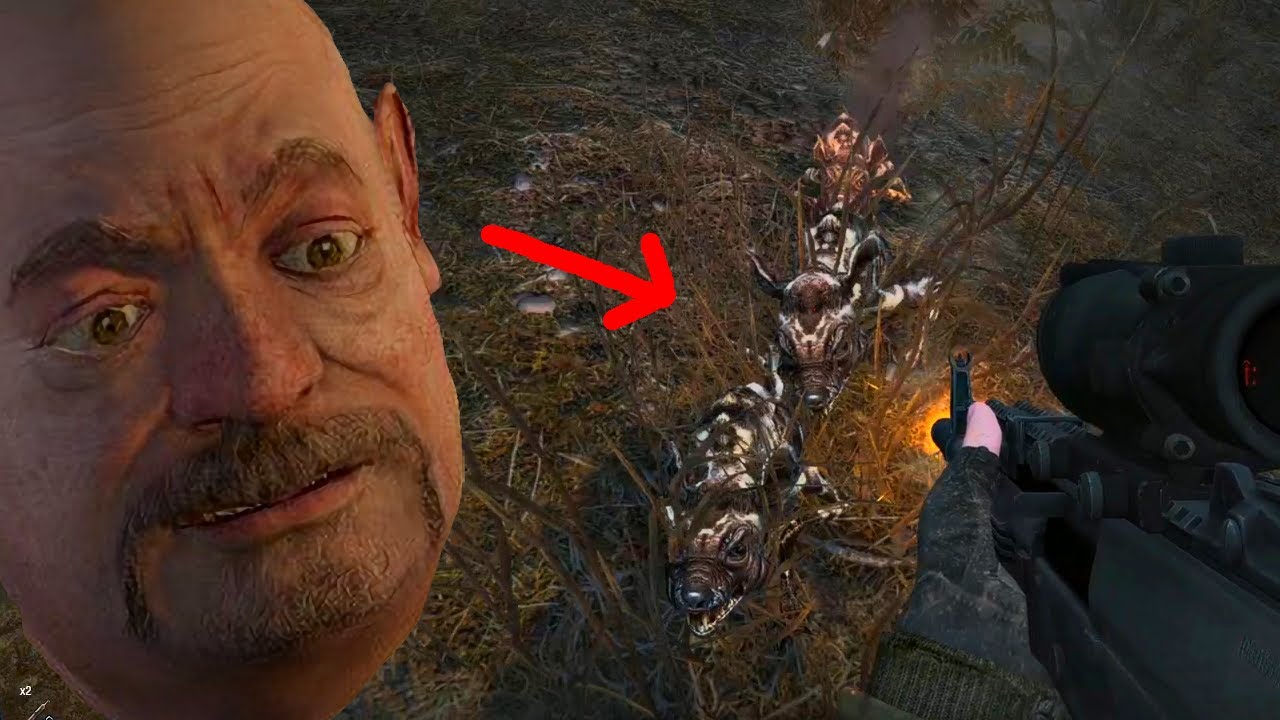 Tushkano Army Attack Freedom Stalker - Stalker Anomaly - YouTube