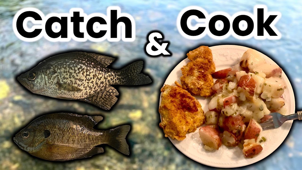 Panfishing At a Small Lake! (Catch and Cook) - YouTube