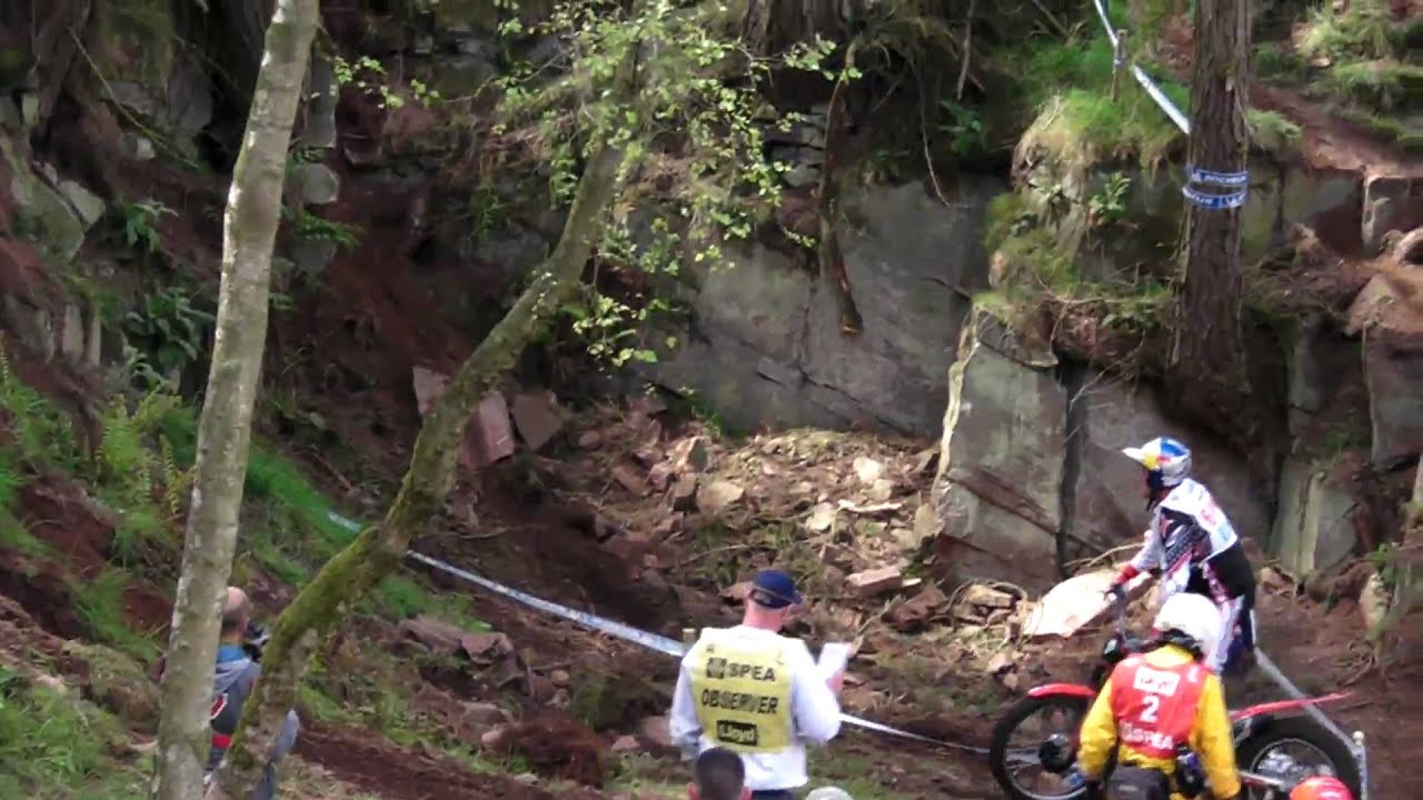 Dougie Tree hugging.MP4 - YouTube