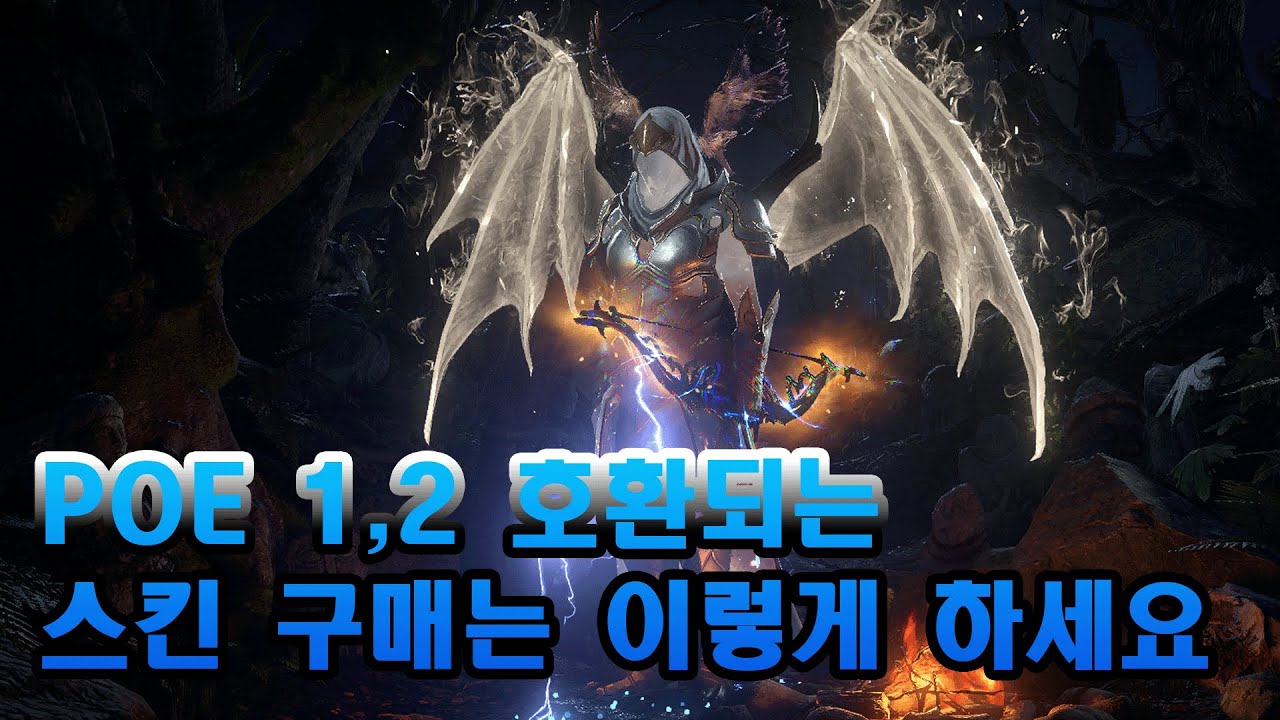 [패스오브엑자일2] POE1,2 호환되는 스킨 구매하는 방법 알려드립니다! - YouTube