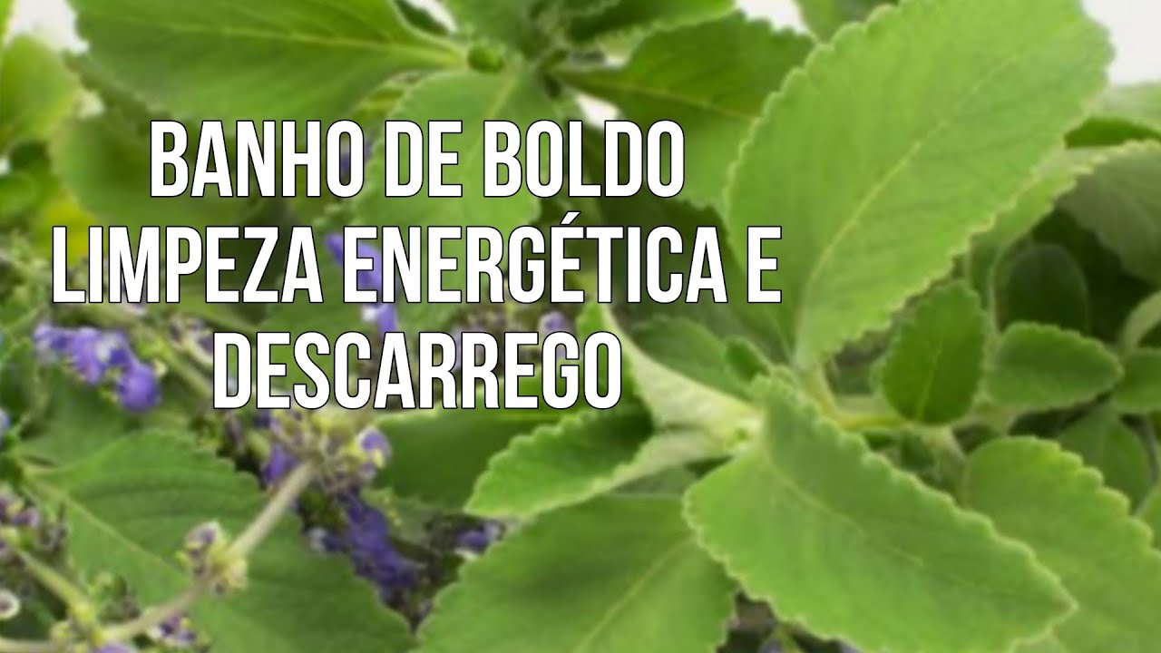 Banho poderoso pra Limpeza energética e descarrego/Banho de boldo #espiritualidade - YouTube