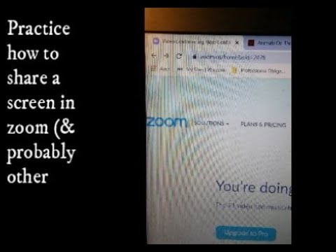 How to Screenshare in Zoom : Screen Share Practice for Preschool and ...
