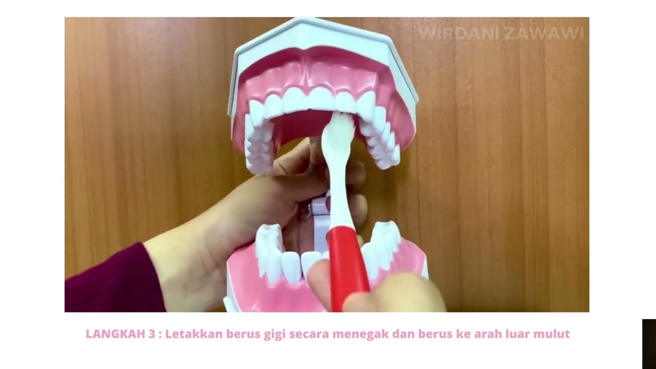 TEKNIK BERUS GIGI YANG EFEKTIF - YouTube