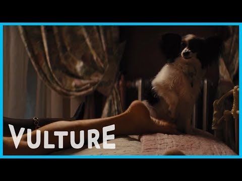 Animals in Movies are Scandalized by PDA