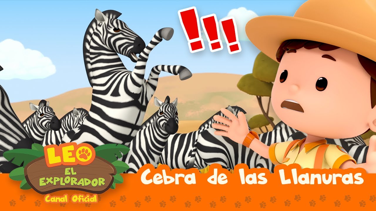 Cebra de las Llanuras 🦓 | Leo, El Explorador Episodio | Animación ...