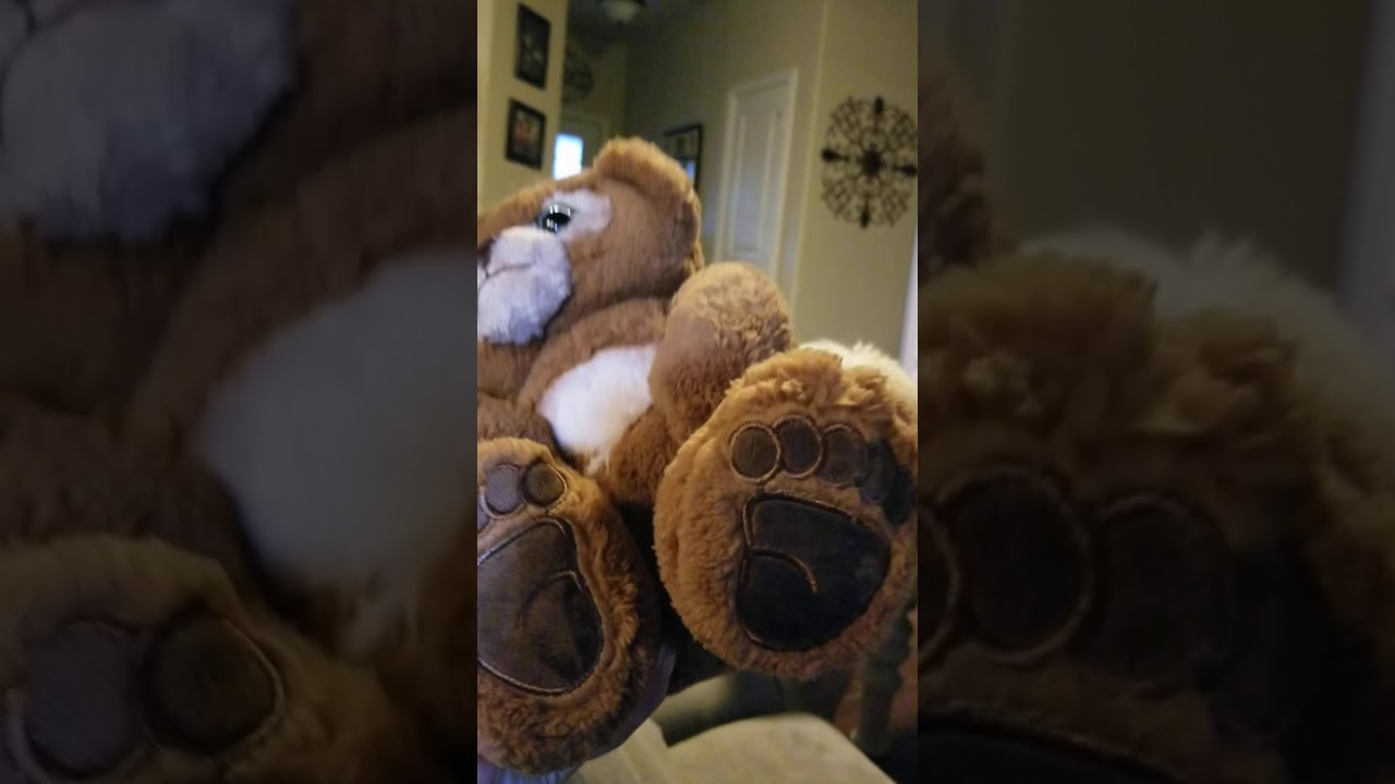 Cubby bear FAIL - YouTube