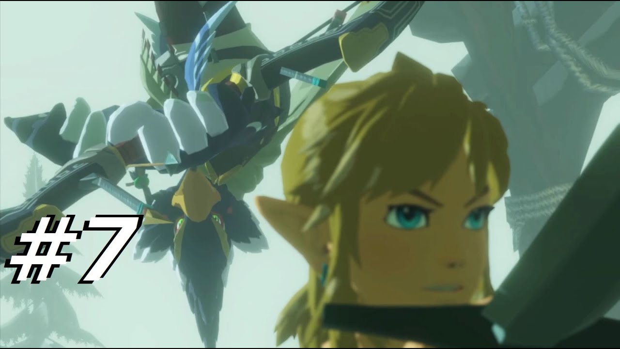 Revali vs Link. So fast I can't say a word - Hyrule Warriors: Age of ...