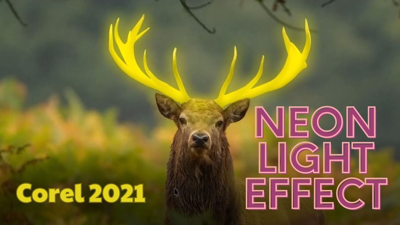 Neon Light Effect in Corel 2021- Hiệu Ứng Ánh Sáng Neon Trong Corel ...