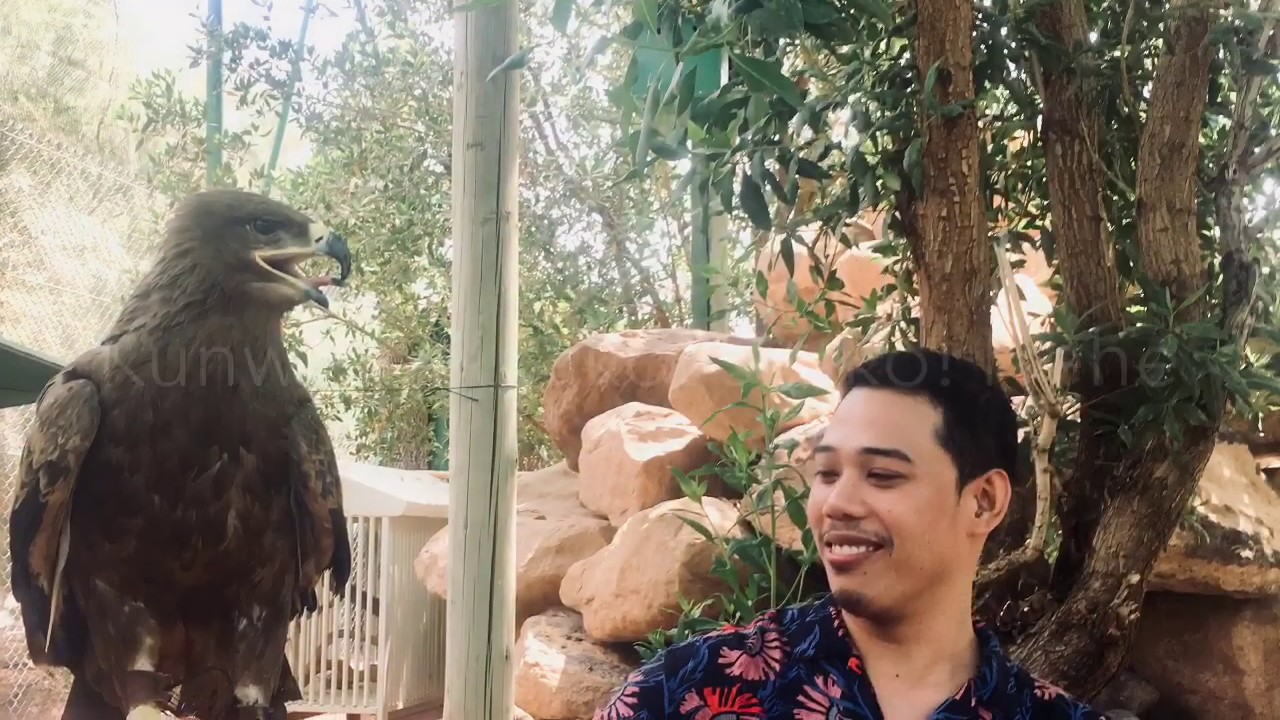 Nofa Resort - Wildlife Park, Riyadh KSA - YouTube