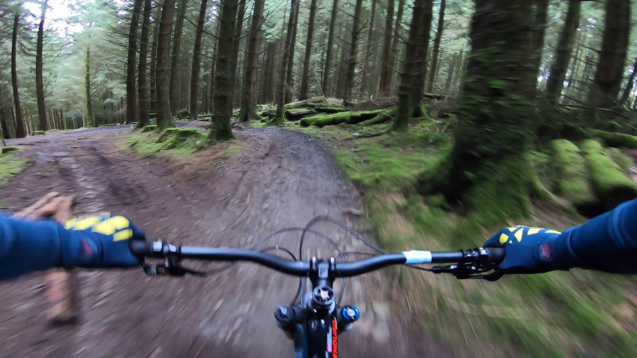 Wibbly Wobbly Bike Park Wales , Enduro Wolfpack - YouTube