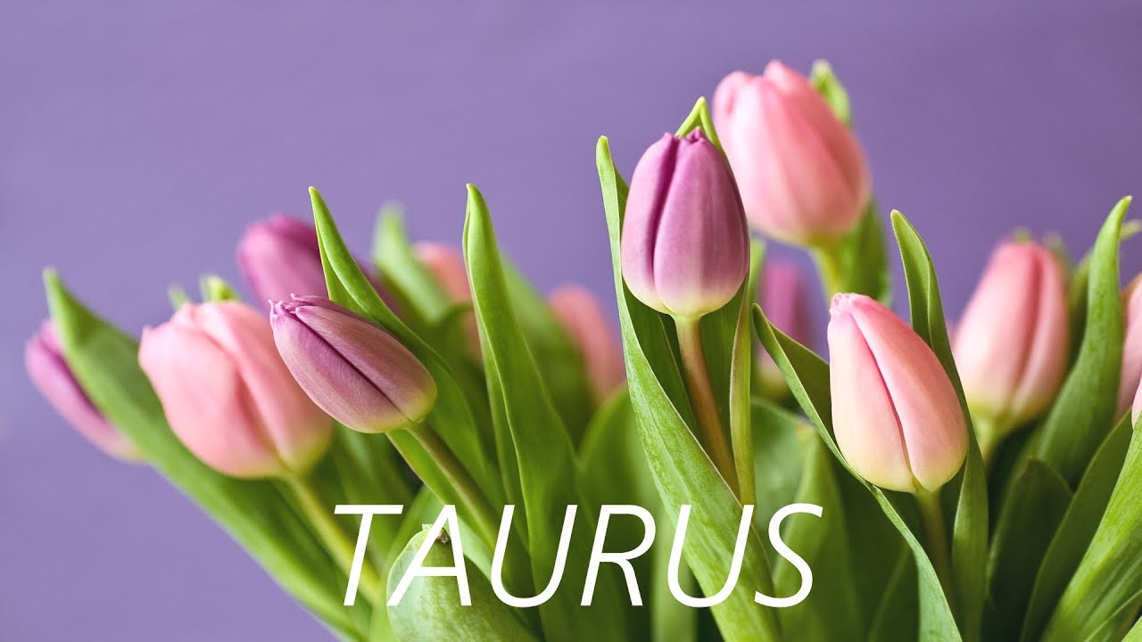 TAURUS MAY 2021 - Your worth and your blessings! - YouTube