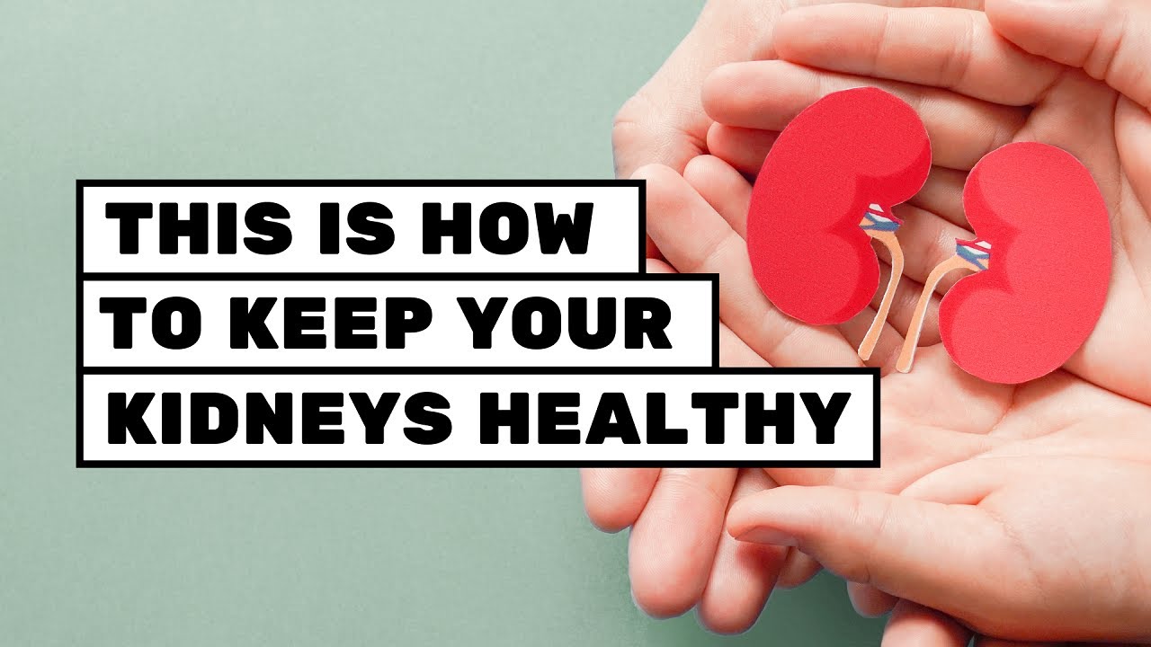 How to Keep Your Kidneys Healthy with These 7 Effective Habits - YouTube