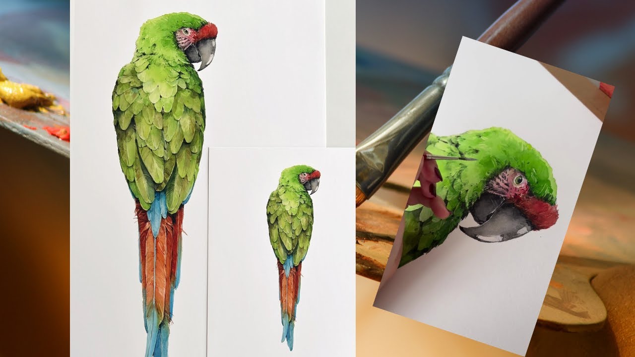 Steps to paint 3 macaws first layer using a cruelty free brush - YouTube