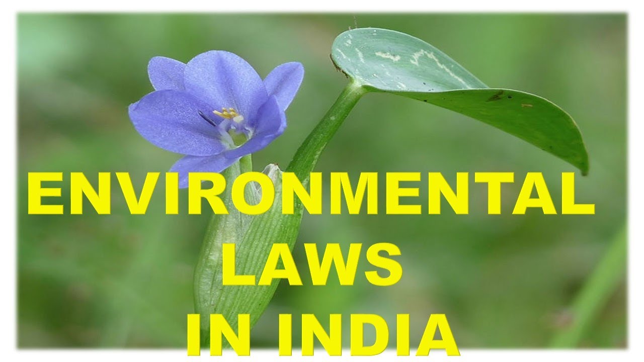 #Environmental Laws in India/UPSC/KPSC - YouTube