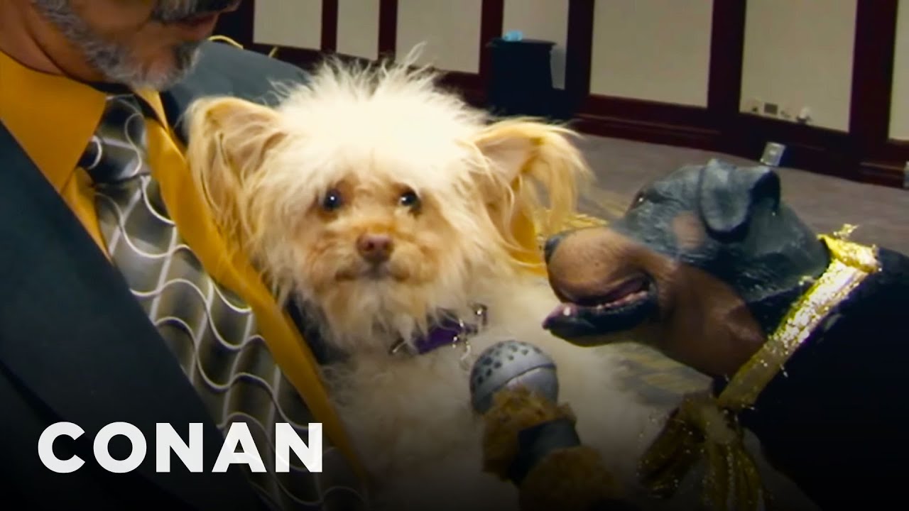 Triumph The Insult Comic Dog Hits The Golden Collar Awards | CONAN on ...