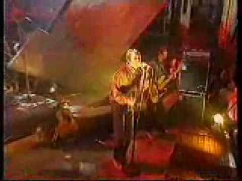 Ocean Colour Scene - The TFI friday Collection - YouTube