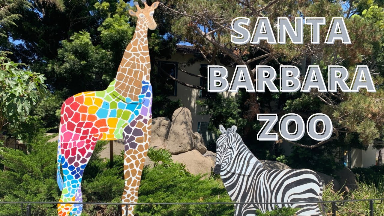 Santa Barbara Zoo (California, USA) | Feeding Giraffes - YouTube