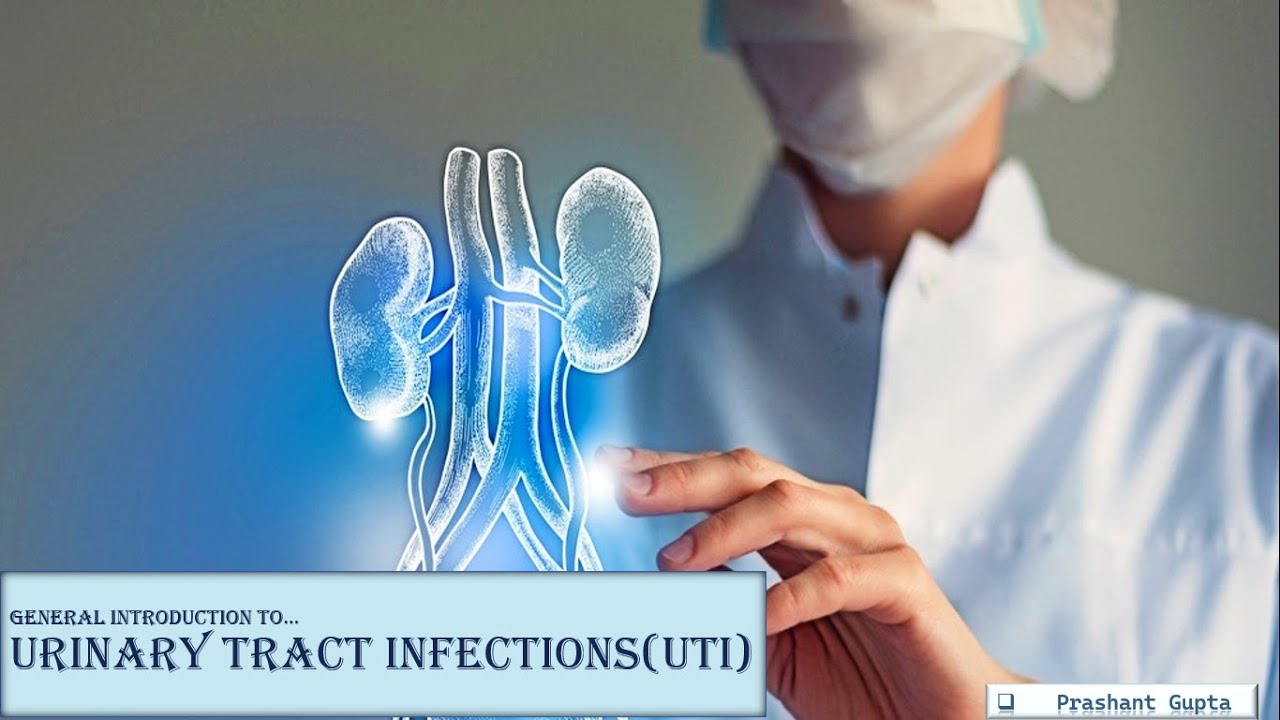 #1. Introduction to Urinary Tract Infections (UTIs) - YouTube
