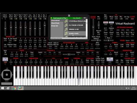 Şevko Seti org 2020-2019