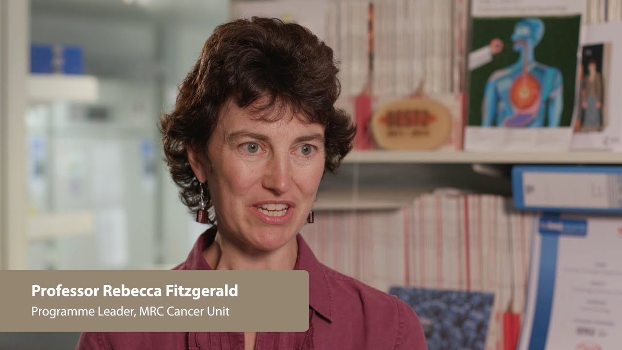 Professor Rebecca Fitzgerald's lab overview - YouTube