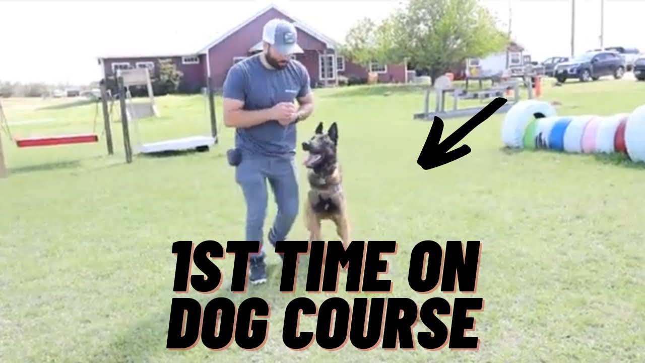 First Time on The Iron Sharp Obstacle Dog Course - YouTube