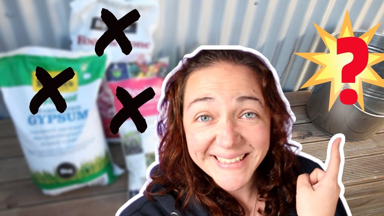 One CRUCIAL ingredient for the BEST seed raising mix recipe - YouTube