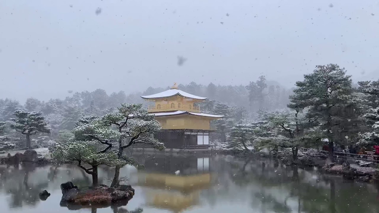 Snow in Kyoto! February 2020 - YouTube