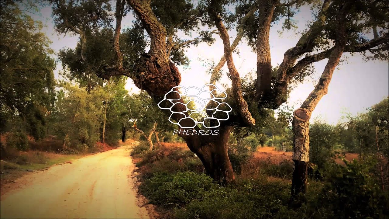 Tycho - A Walk - YouTube