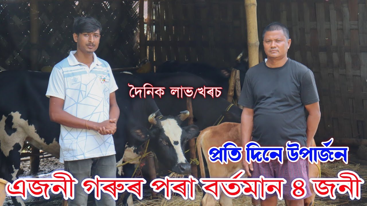 DAIRY FARMING IN ASSAM | গৰু পালনেৰে স্বাৱলম্বীতা | Cow Farming in ...