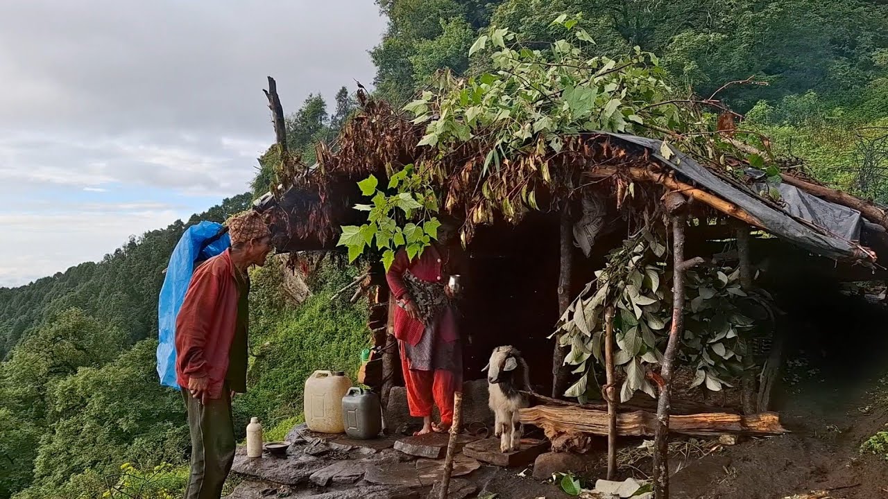 This is himalayan nepali Village Lifestyle | Daily Activitis of Hari ...
