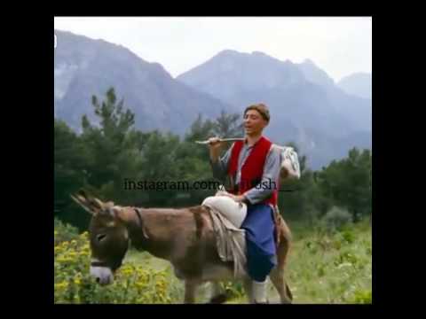 Mirt Pirkil Nicat Şãmāxıłı