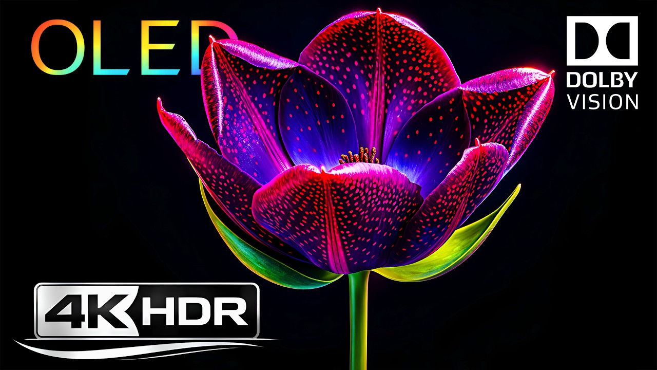 MIND-BLOWING OLED TEST You’ve Never Seen | 4K HDR 120 FPS Dolby Vision ...