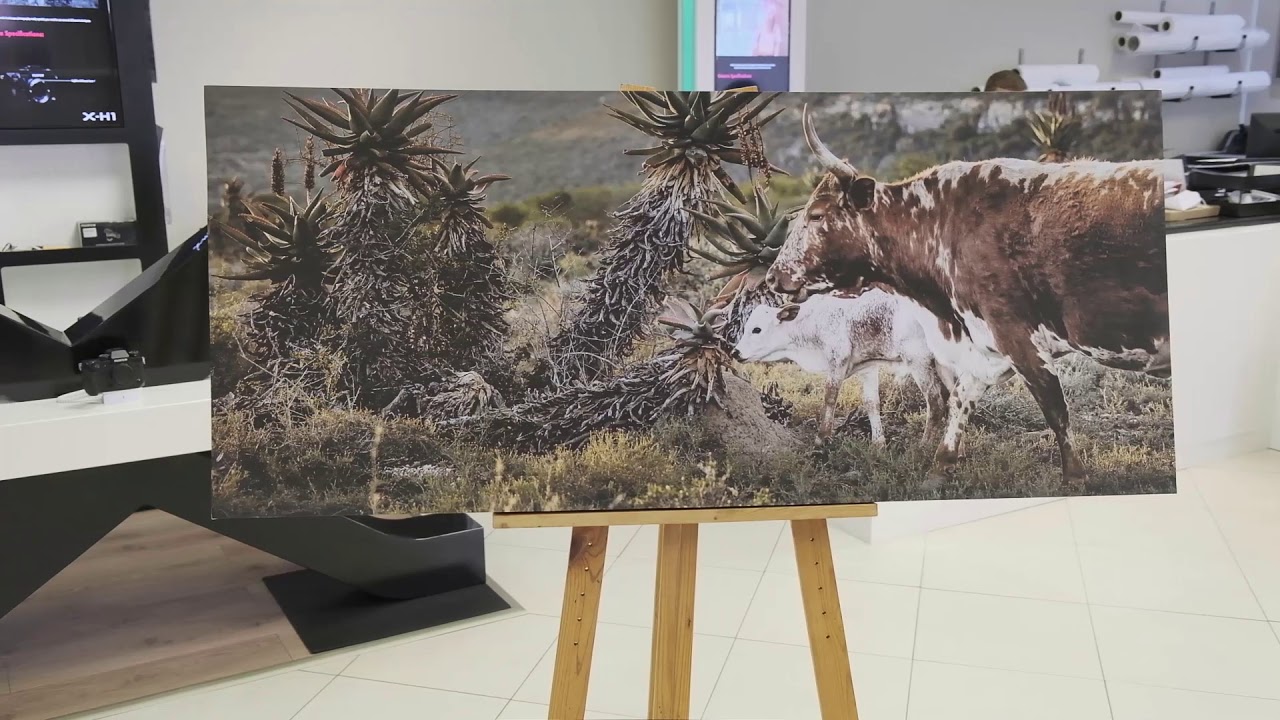 Large Format Canvas Printing - YouTube