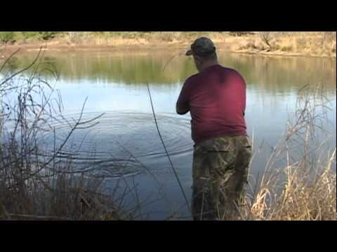 Pond Fishing at its BEST - YouTube
