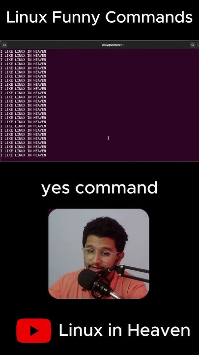 yes command | Linux funny commands #shorts #bashscripting #opensource #coding #sysadmin #bash ...