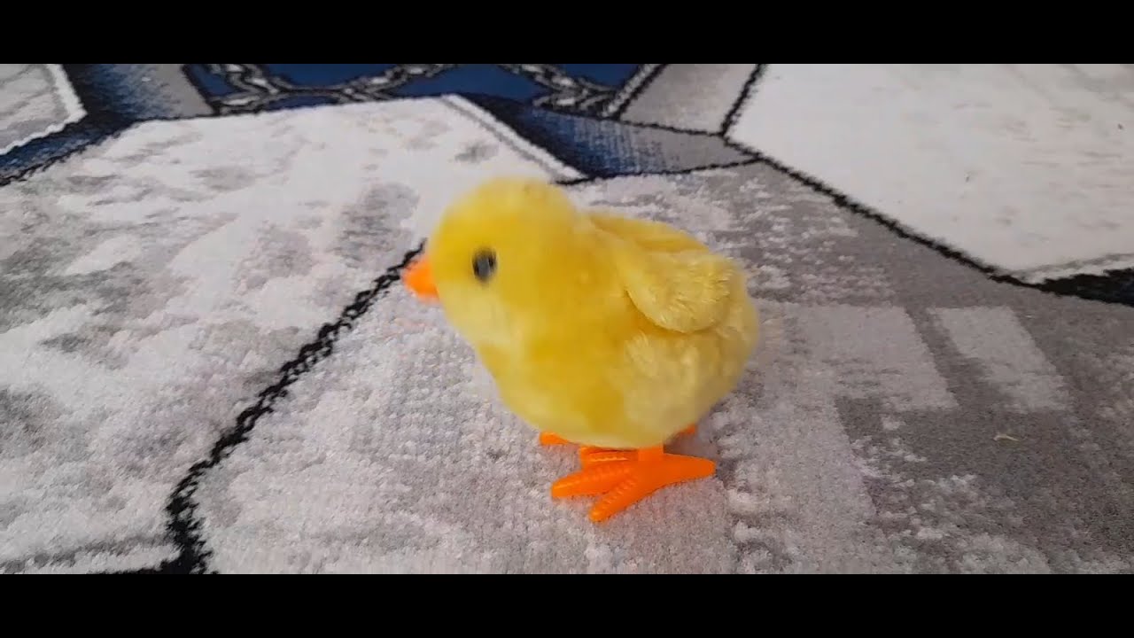 Satisfying Toy chick Motion | Toy Sound Lab3 - YouTube
