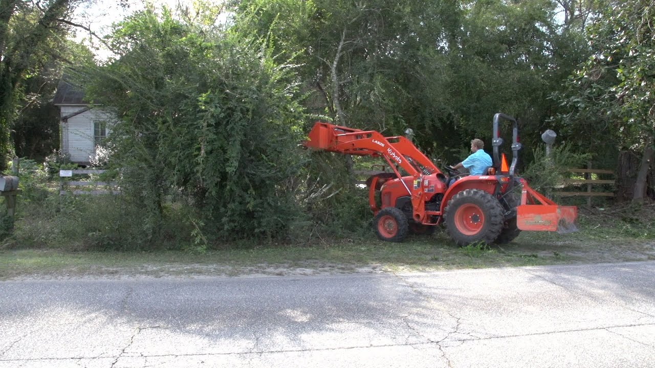(SATISFYING) RIPPING INVASIVE PLANTS OUT OF THE GROUND | CLEANING UP ...