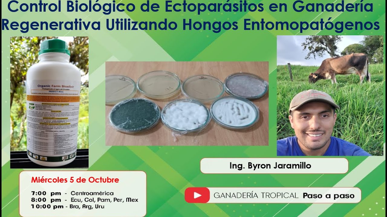 Control Biologico de Ectoparasitos en Ganaderia Regenerativa Utilizando ...