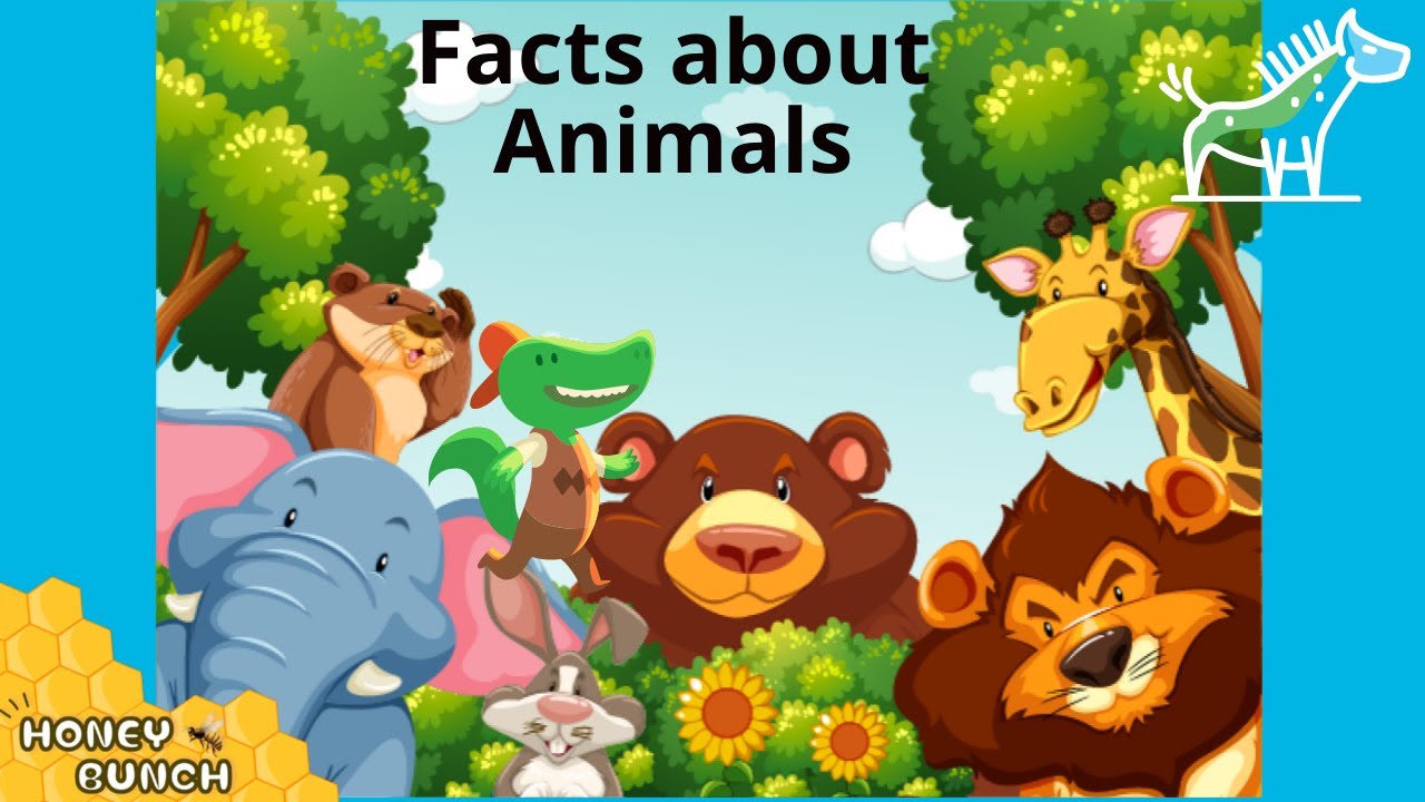 Facts about Animals | Elephant | Crocodile | Hyena | Animals Video for ...