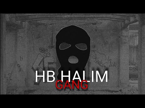 HALIM HB _ GANG (VIDÉO LYRICS OFFICIEL) - YouTube