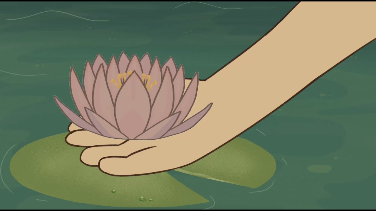 Nymphaea - an animated short film - YouTube