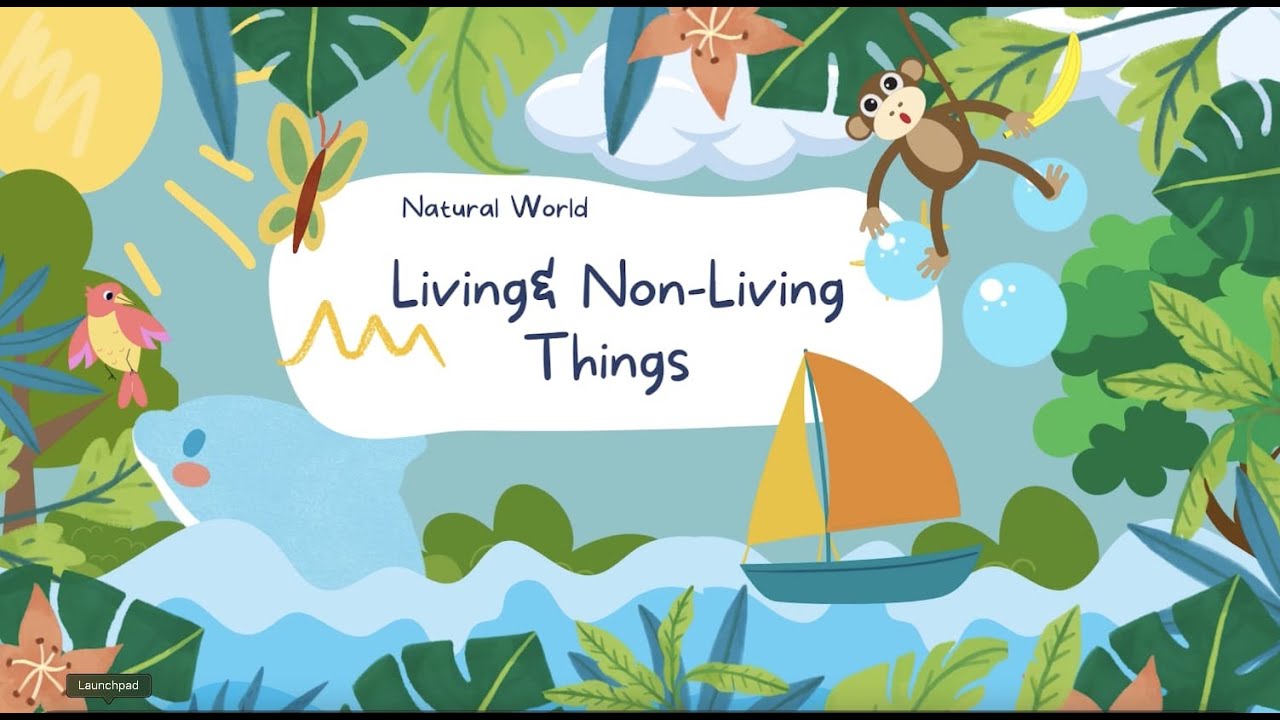 Living and Non living things, The amazing World around Us - YouTube