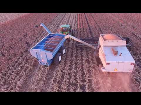 Walton Farming - Dalby - Sorghum Harvest 17