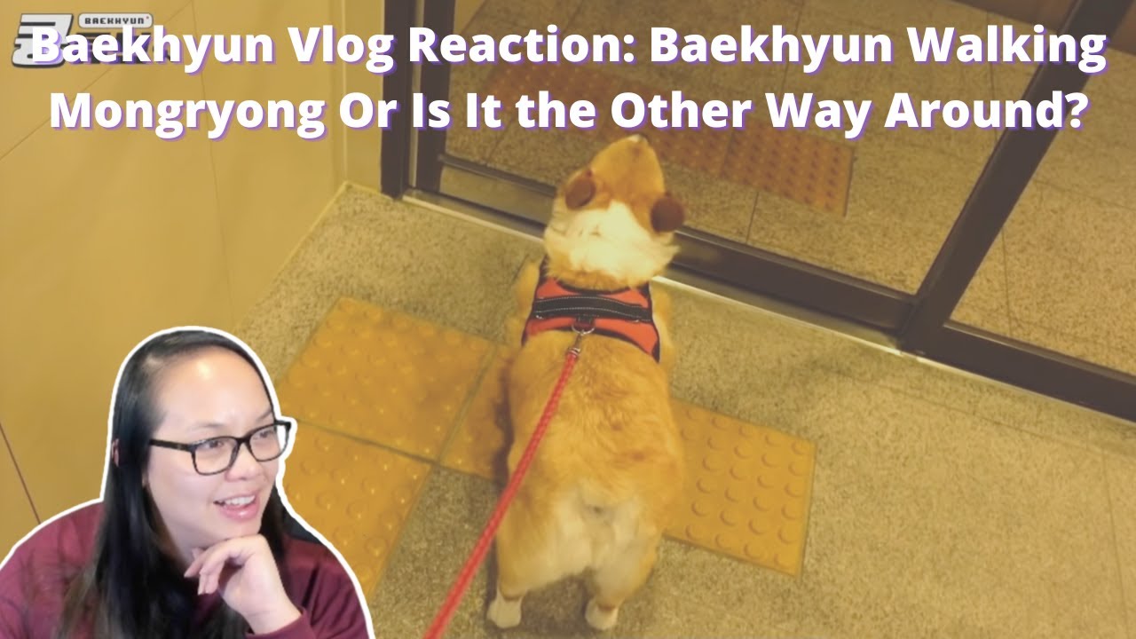 Baekhyun's Vlog | Baekhyun Walking Mongryong Or Is It the Other Way ...