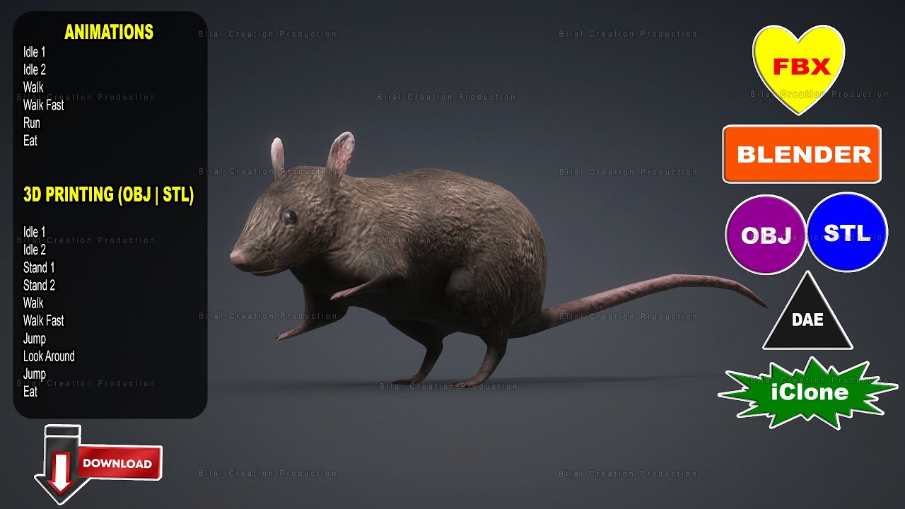 MOUSE GRAY RAT REALISTIC 3D CHARACTER | BILAL CREATION PRODUCTION - YouTube