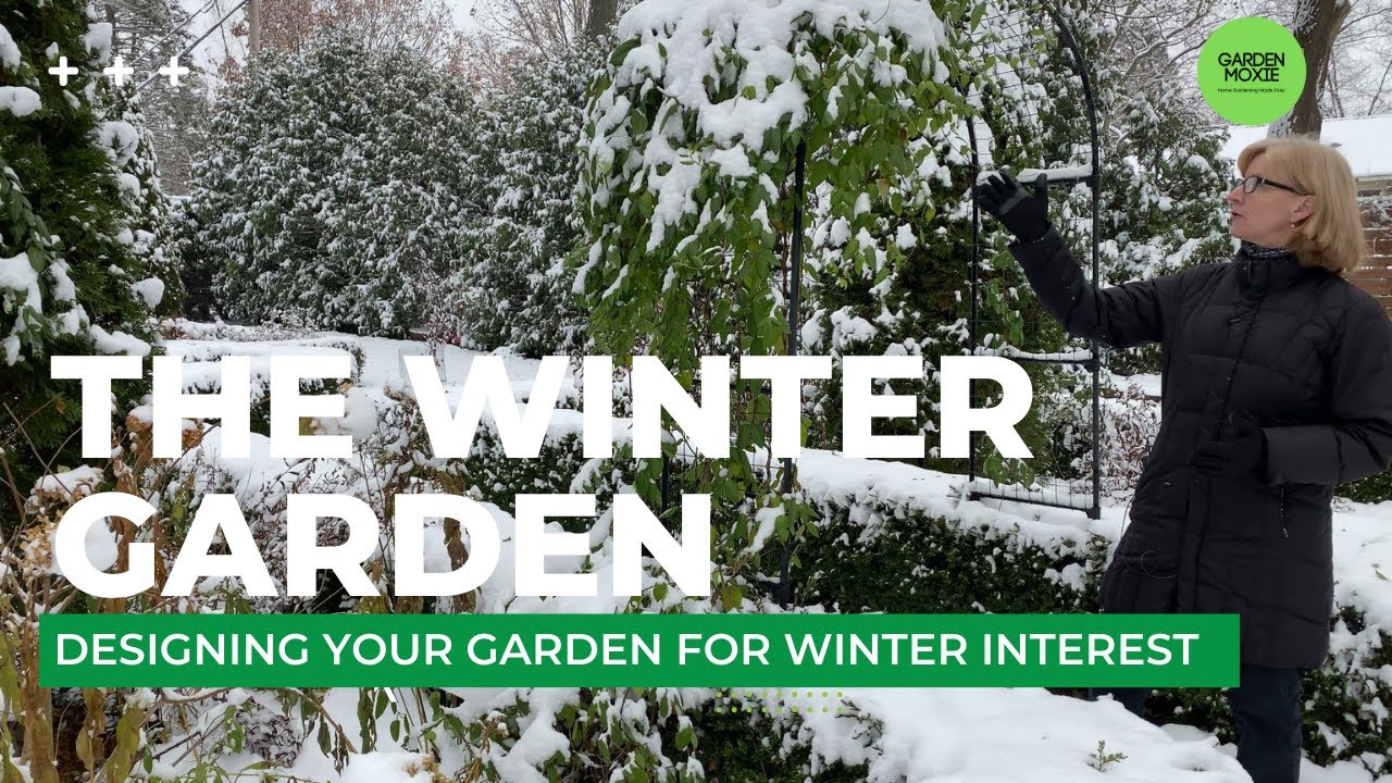 Designing Your Garden for Winter Interest - This is What I've Learned ...