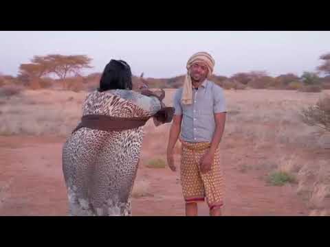 ABDIRISAQ ANSHAX & NIMCO DAGAN | GEELJIRE | OFFICIAL MUSIC VIDEO 2020 ...