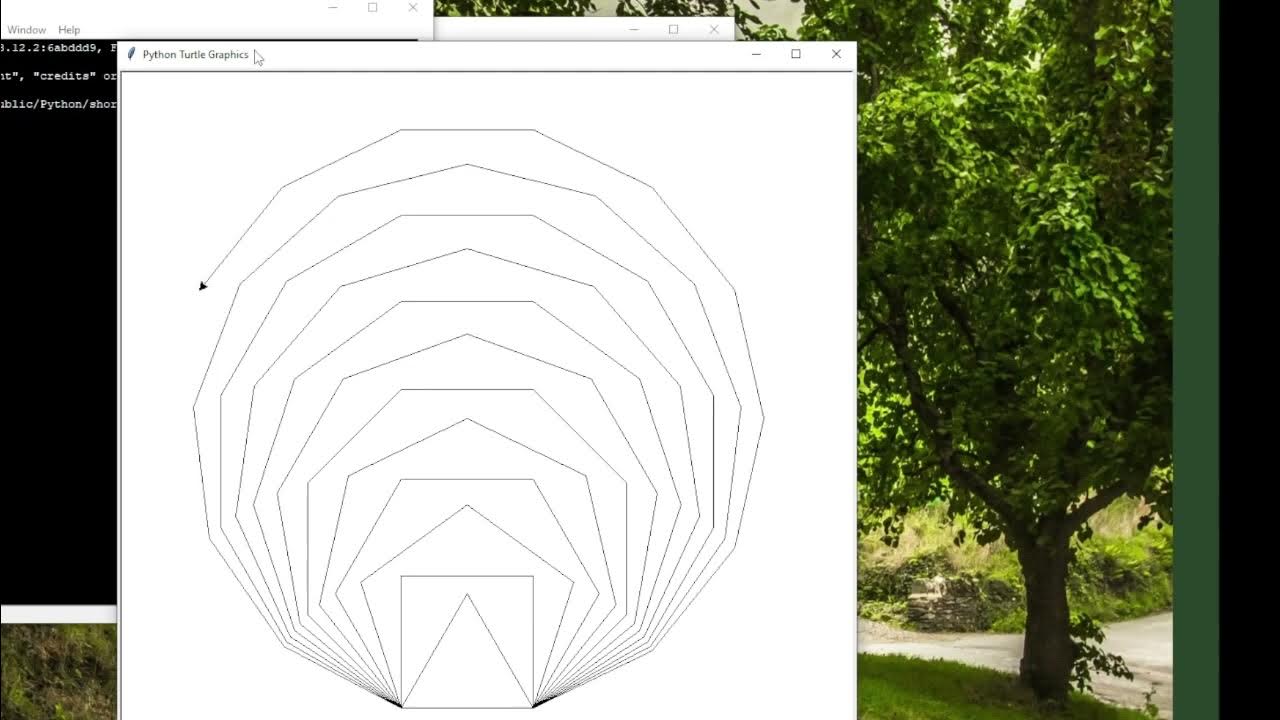 Using functions and math to drive turtle polygons. - YouTube