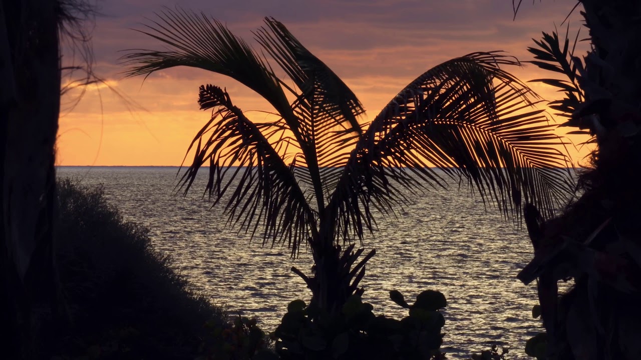🌅 Sunset Ocean View - Free Stock Footage 4K 🌅 - YouTube