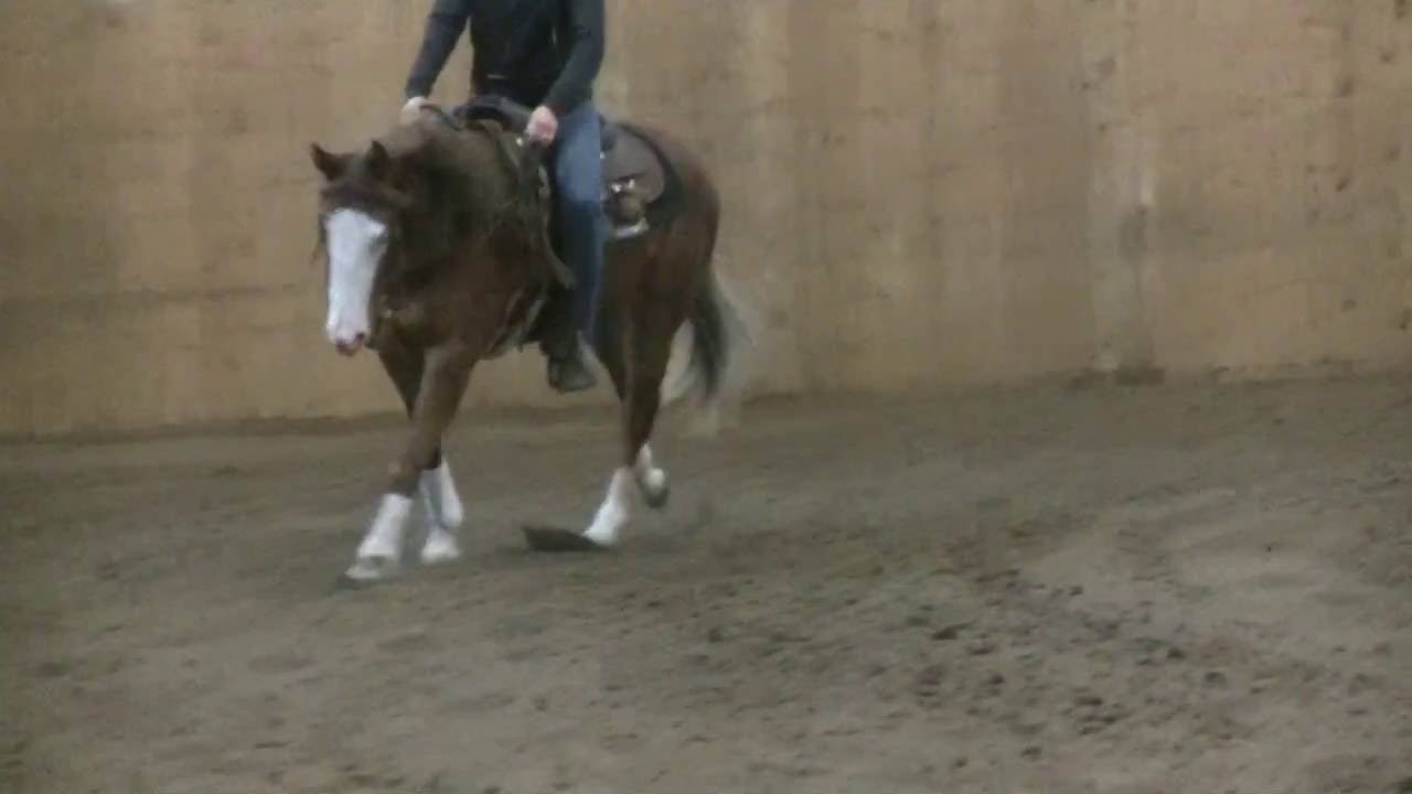 2yr old Chics Loaded Gun Filly "Piper" - YouTube